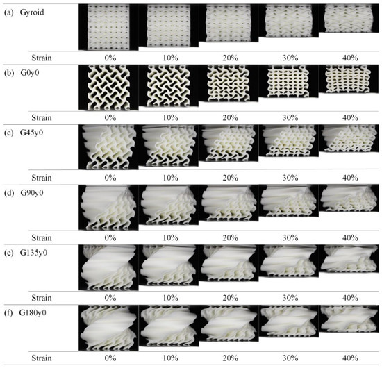 Experimental and Numerical Investigation of Polymer-Based 3D-Printed Lattice Structures with ...