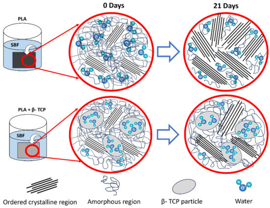 The Structural, Thermal and Morphological Characterization of ...