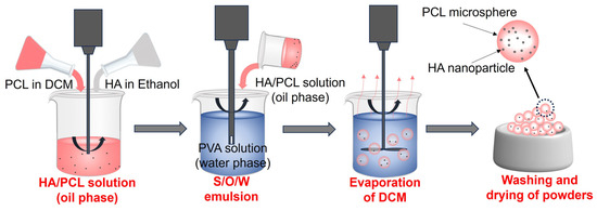 Development of Hydroxyapatite/Polycaprolactone Composite Biomaterials ...