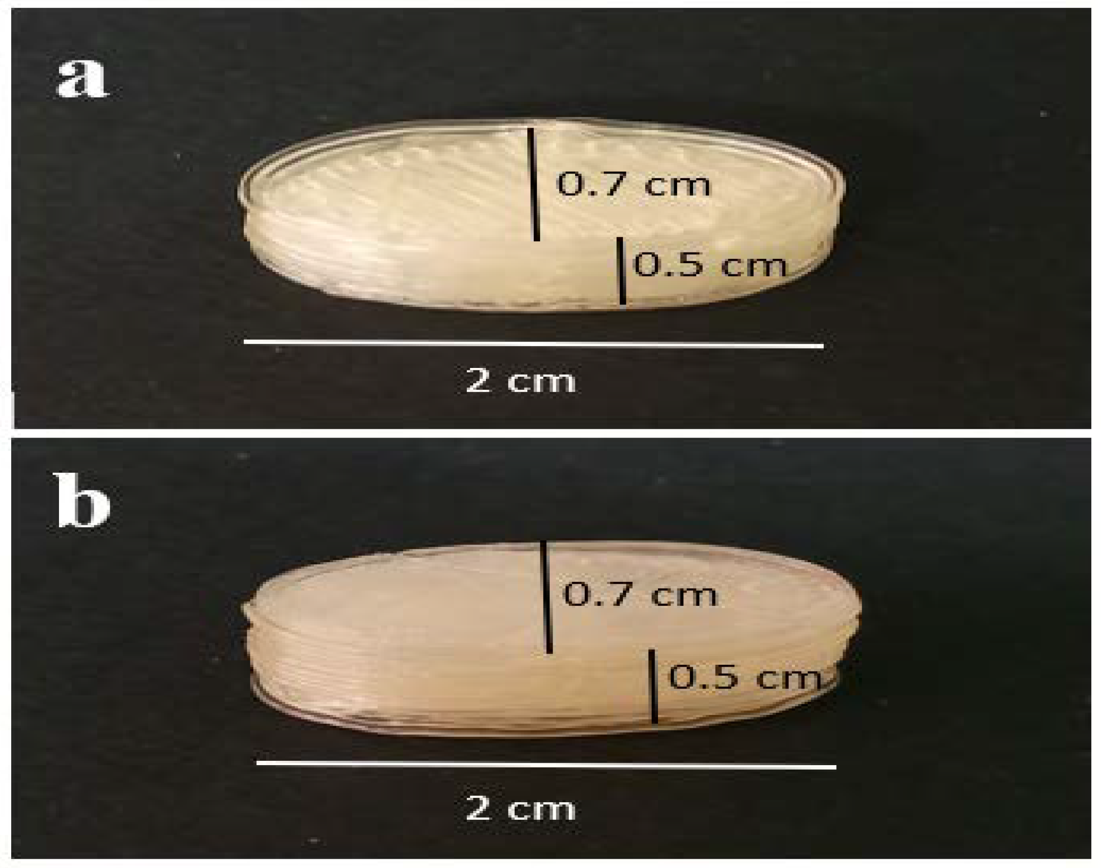 Fabrication of a Controlled-Release Core-Shell Floating Tablet of ...