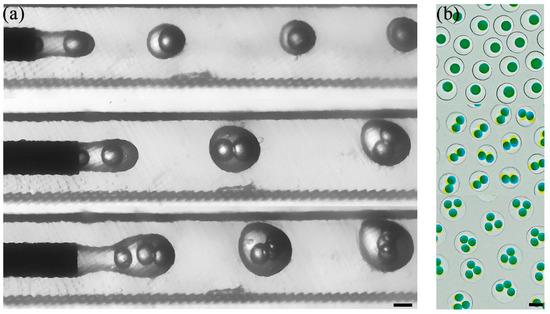 A Modular and Cost-Effective Droplet Microfluidic Device for Controlled ...