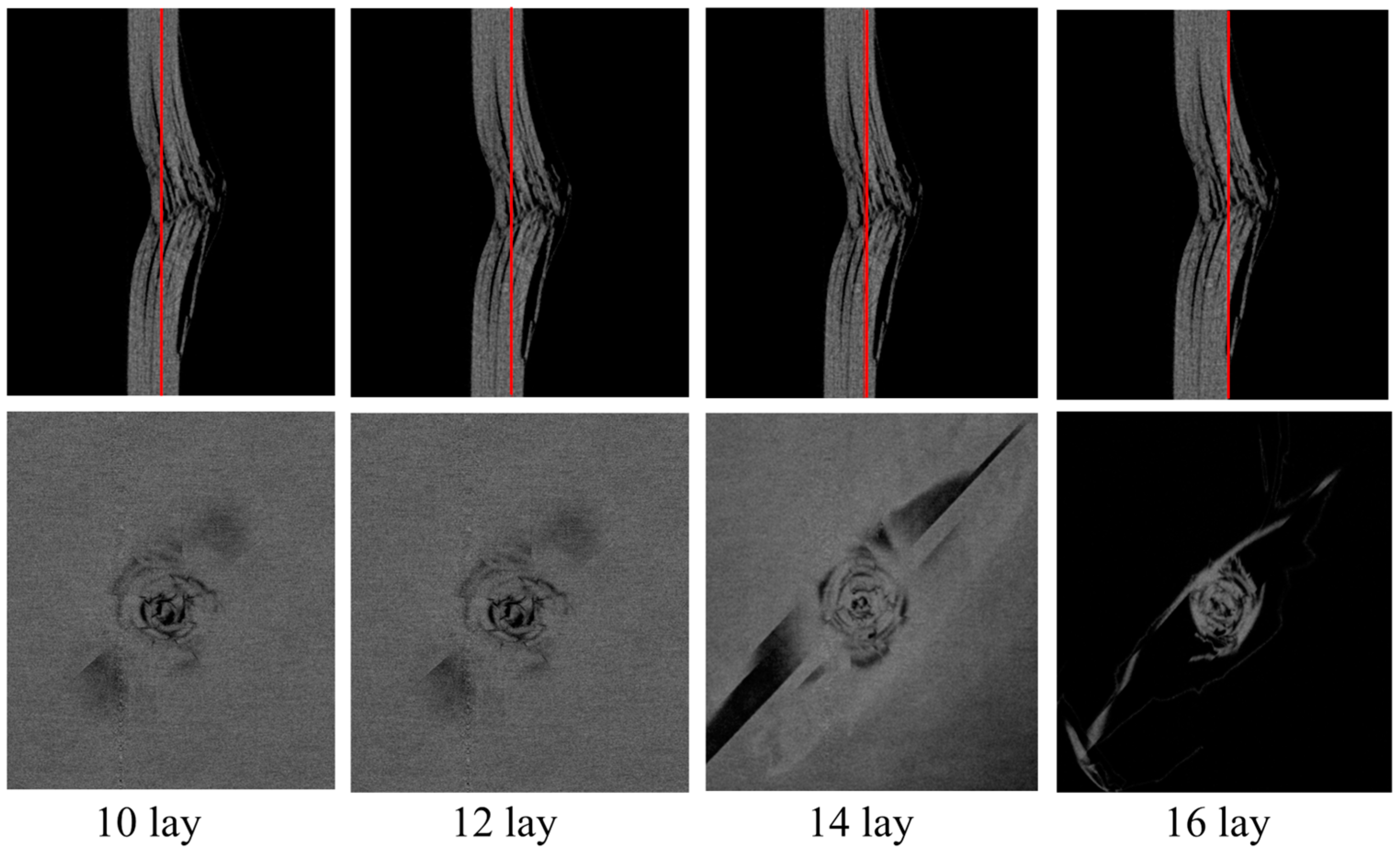 Study on the Low-Velocity Impact Response and Damage Mechanisms of ...
