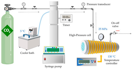 Foaming of 3D-Printed PLA/CaCO3 Composites by Supercritical CO2 Process ...