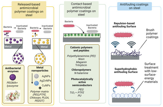 A Review of Antimicrobial Polymer Coatings on Steel for the Food ...