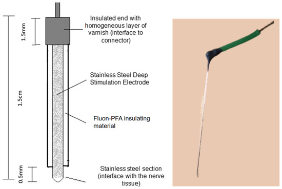 Development and Characterization of Electrodes Coated with Plasma ...