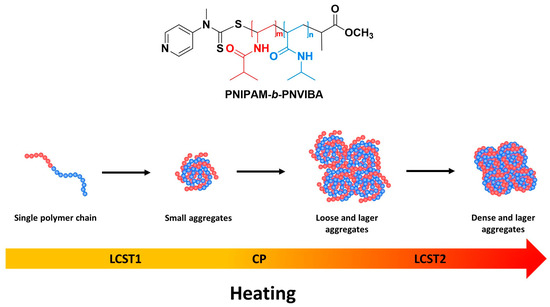 Synthesis and Thermo-Responsive Behavior of Poly(N-isopropylacrylamide ...