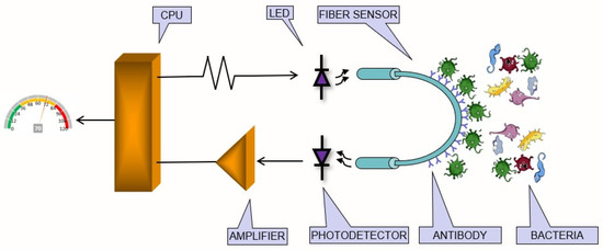 Development of an Immunocapture-Based Polymeric Optical Fiber Sensor ...