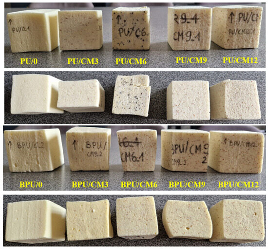Eco-Friendly Cork–Polyurethane Biocomposites for Enhanced Impact ...
