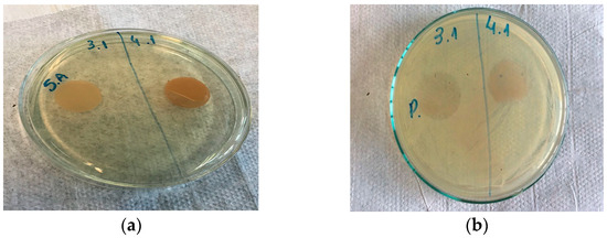 Effect of Adding Red Propolis to Edible Biodegradable Protein Films for ...