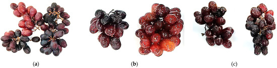 Effect of Adding Red Propolis to Edible Biodegradable Protein Films for ...