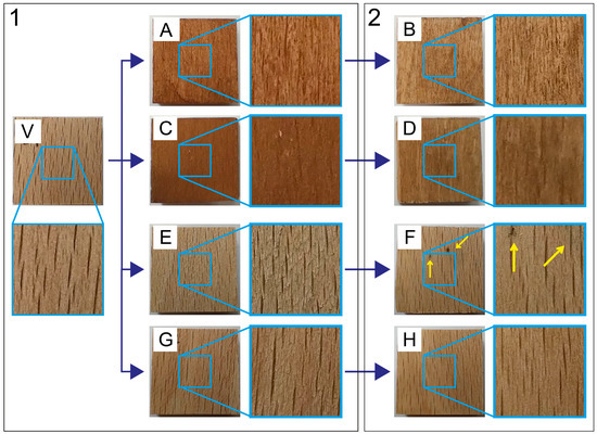 Spray Coating of Wood with Nanoparticles from Lignin and Polylactic ...