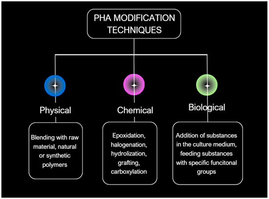 Embracing Sustainability: The World of Bio-Based Polymers in a Mini Review