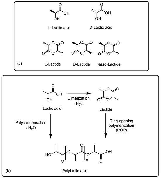 Embracing Sustainability: The World of Bio-Based Polymers in a Mini Review