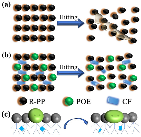 Carbon Fiber Reinforced Recycled Polypropylene/Polyolefin Elastomer ...