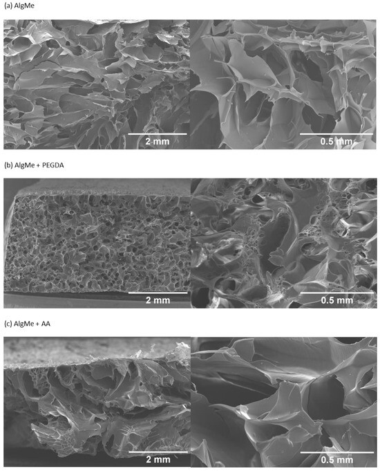 Evaluation of Various Types of Alginate Inks for Light-Mediated ...