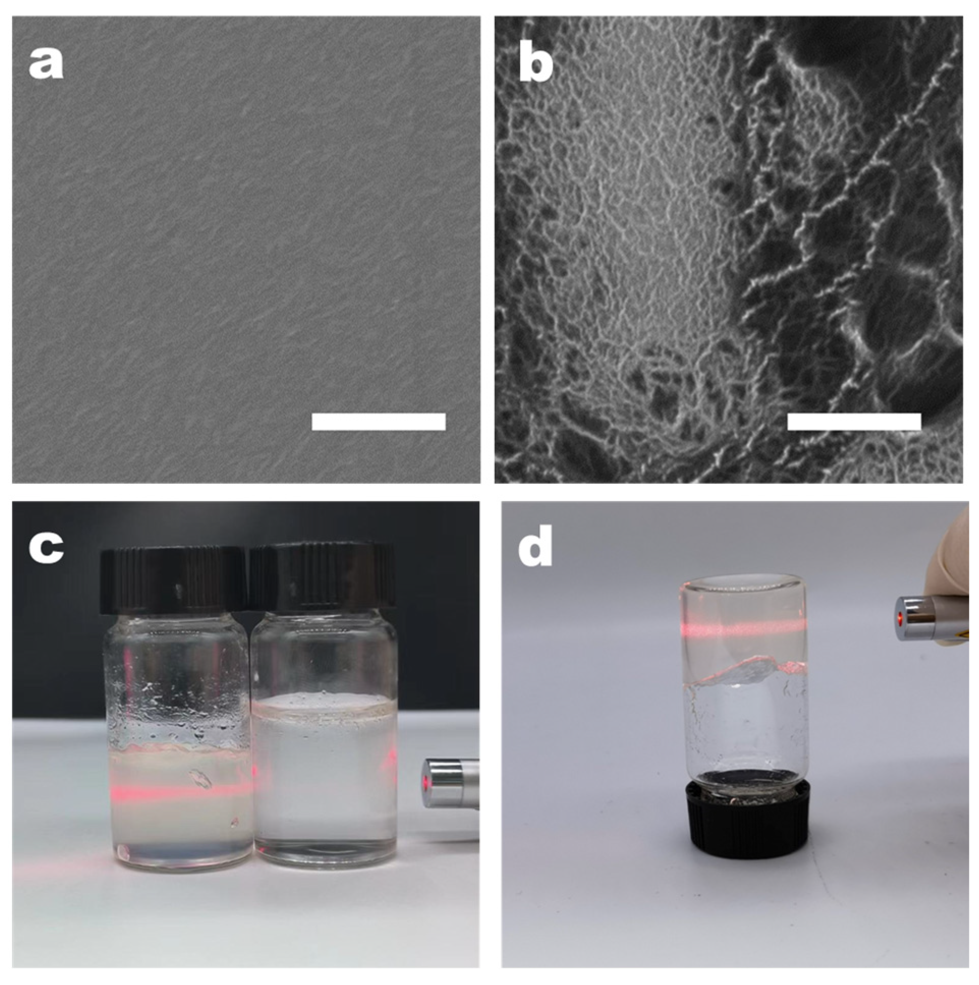 A Novel Nanofiber Hydrogel Adhesive Based on Carboxymethyl Cellulose ...