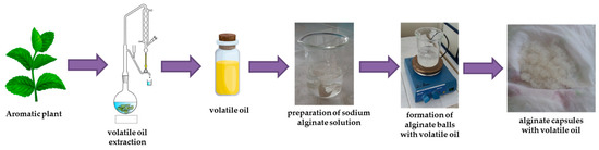 Natural Polymers as Carriers for Encapsulation of Volatile Oils ...