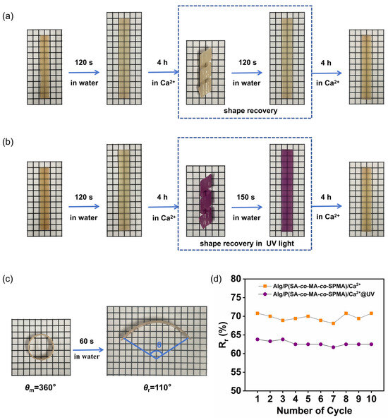 Ion-Cross-Linked Hybrid Photochromic Hydrogels with Enhanced Mechanical ...