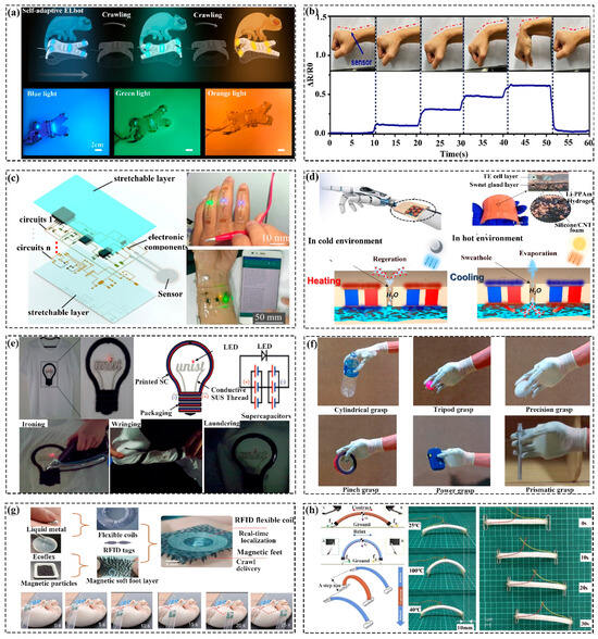 Advancements in Soft Robotics: A Comprehensive Review on Actuation ...