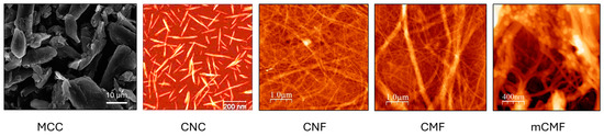 Nanocellulose Grades with Different Morphologies and Surface ...