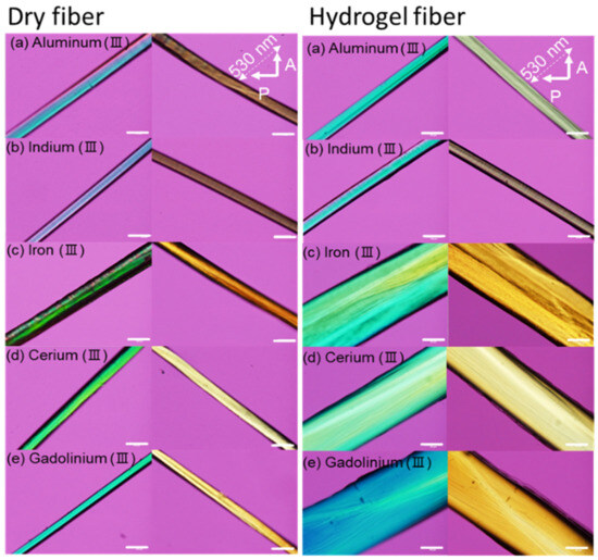 Metal-Assisted Injection Spinning of Ultra Strong Fibers from ...