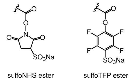 Recent Advances in Polymers Bearing Activated Esters for the Synthesis ...