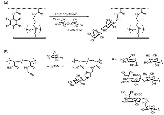 Recent Advances in Polymers Bearing Activated Esters for the Synthesis ...