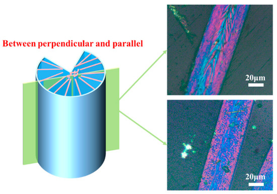 Understanding the Molecular Arrangement and Orientation Characteristics ...