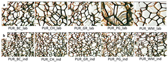 Open-Cell Spray Polyurethane Foams Based on Biopolyols from Fruit Seed Oils