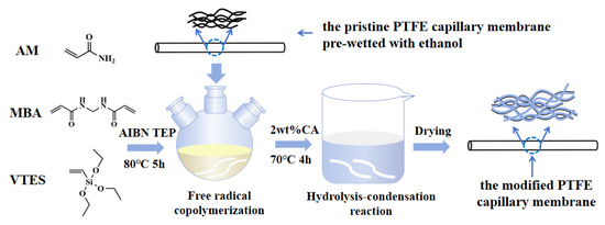 Hydrophilic Modification of Polytetrafluoroethylene (PTFE) Capillary ...