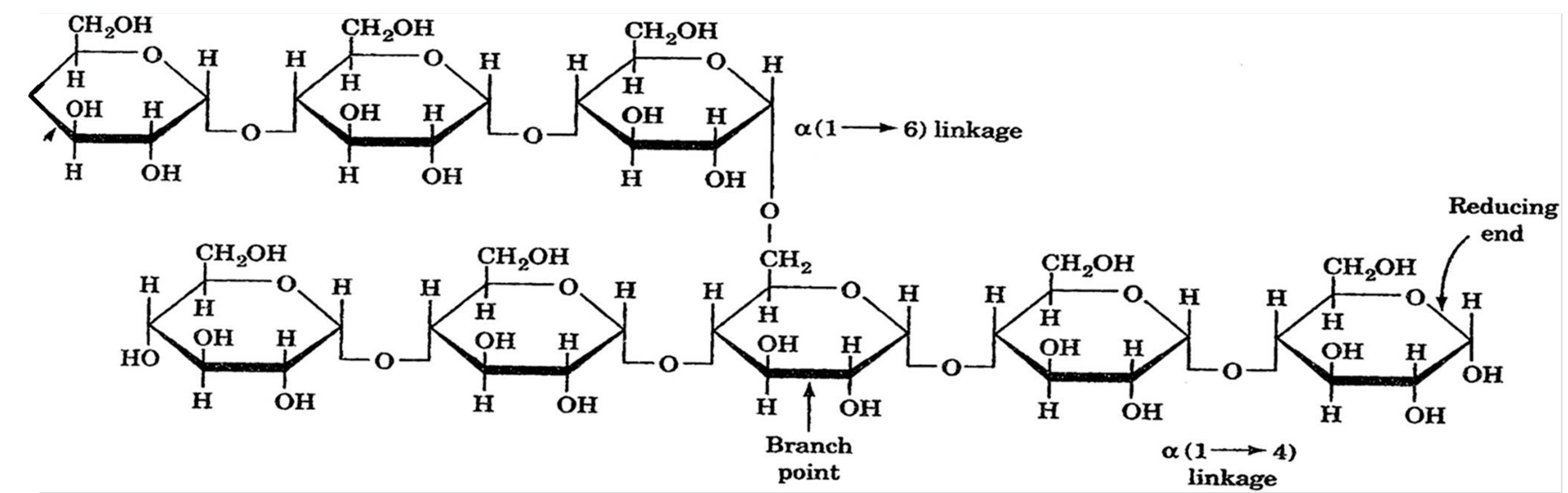 Natural and Synthetic Polymers for Biomedical and Environmental ...