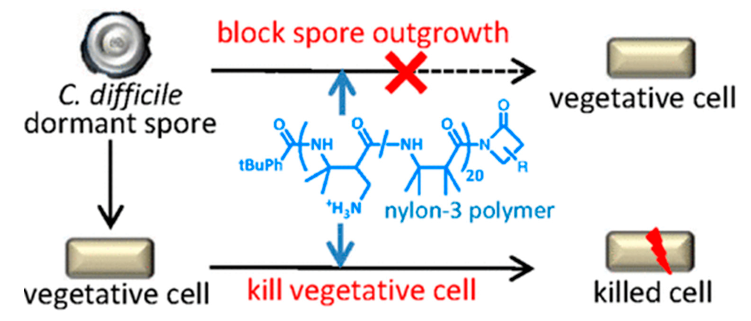 Natural and Synthetic Polymers for Biomedical and Environmental ...