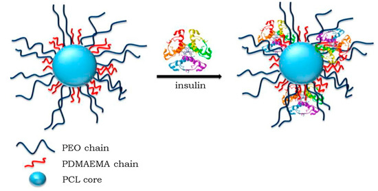 Natural and Synthetic Polymers for Biomedical and Environmental ...