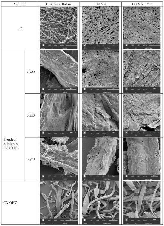 Cellulose Nitrates-Blended Composites from Bacterial and Plant-Based ...