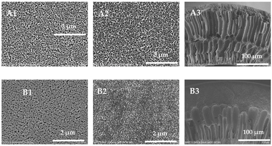 Improved Protein Removal Performance of PES Hollow-Fiber ...