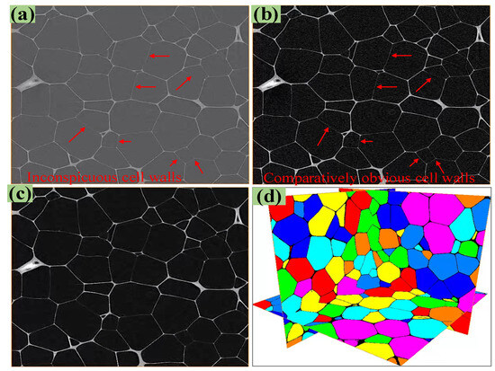Compressive Mechanical Behavior and Corresponding Failure Mechanism of ...