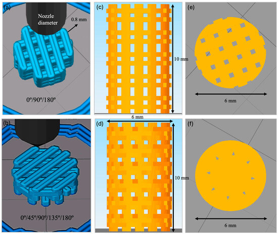 Enhanced Bone Healing in Critical-Sized Rabbit Femoral Defects: Impact ...