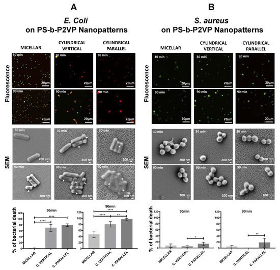 Self-Assembled Block Copolymers as a Facile Pathway to Create ...