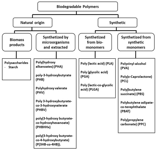 Forefront Research of Foaming Strategies on Biodegradable Polymers and ...