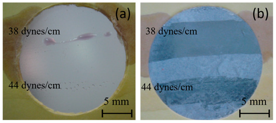 Polyethylene Film Surface Modification via Benzoic Acid Grafting