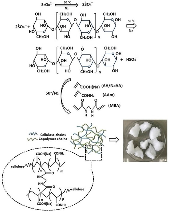 Cellulose-Based Hydrogels for Wastewater Treatment: A Focus on Metal ...