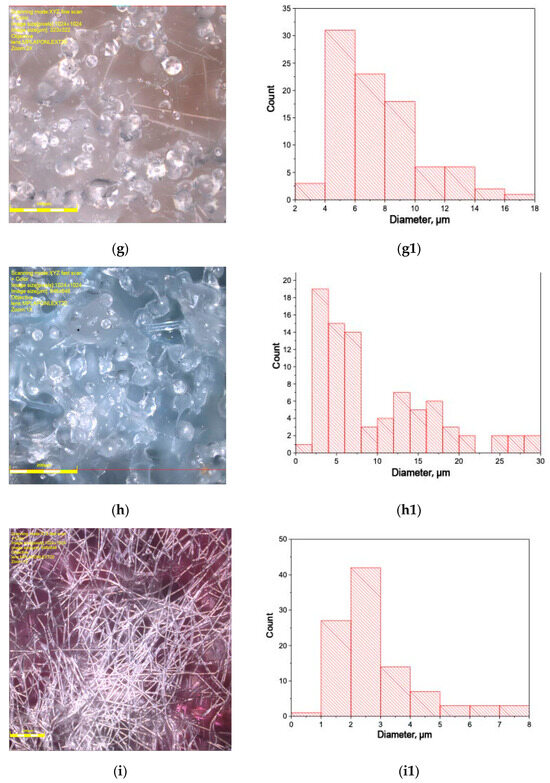 Electrospun Polylactide—Poly(ε-Caprolactone) Fibers: Structure ...