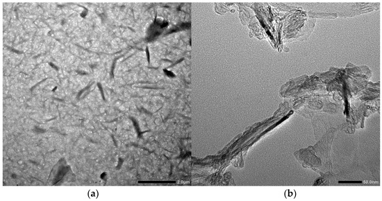 Production and Characterization of Nanocellulose from Maguey (Agave ...
