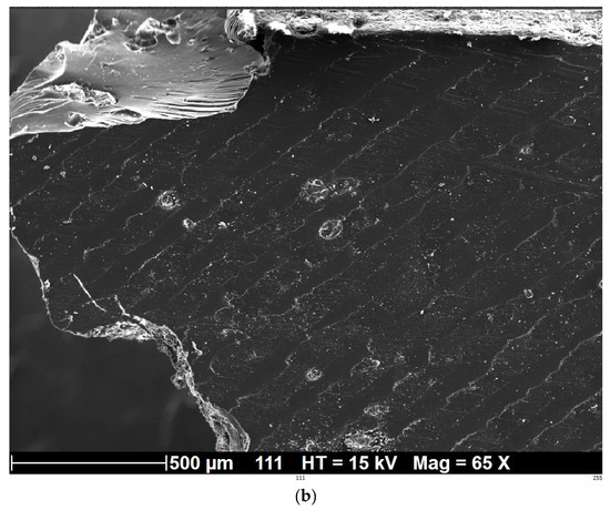 Digital Light Processing Route for 3D Printing of Acrylate-Modified PLA ...