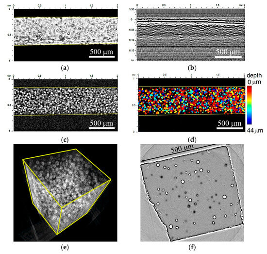 Studies of Fractal Microstructure in Nanocarbon Polymer Composites
