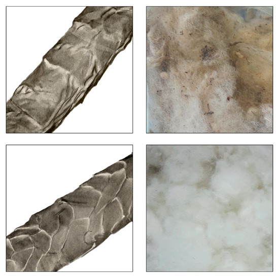 Polymers | Free Full-Text | Selective Modifications of Sheep Wool ...