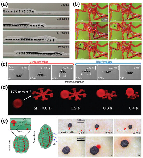 Polymers | Free Full-Text | Filled Elastomers: Mechanistic and Physics ...