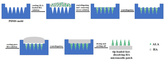 Microneedles Based on a Biodegradable Polymer—Hyaluronic Acid