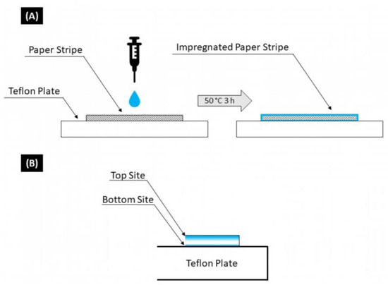 Pinecone-Inspired Humidity-Responsive Paper Actuators with Bilayer ...