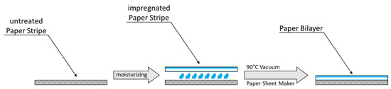 Pinecone-Inspired Humidity-Responsive Paper Actuators with Bilayer ...